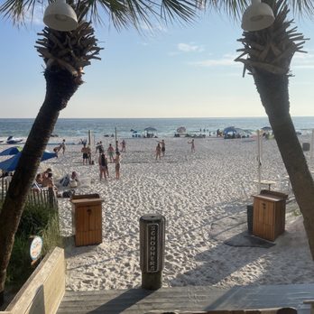 SCHOONERS - Updated March 2025 - 951 Photos & 1175 Reviews - 5121 Gulf ...