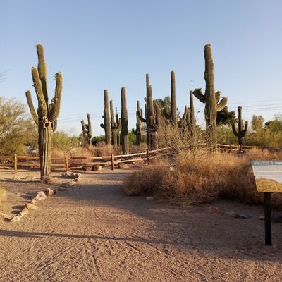 RIPARIAN PRESERVE AT WATER RANCH - 653 Photos & 231 Reviews - 2757 E ...