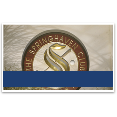 THE SPRINGHAVEN CLUB - Updated August 2025 - 17 Photos - 600 S ...