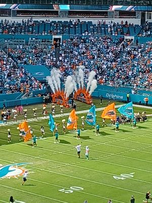 MIAMI DOLPHINS - Updated December 2025 - 74 Photos - 7500 SW 30th St ...