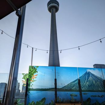 THE ROOF AT SOCO - Updated January 2025 - 51 Photos & 23 Reviews - 75 ...