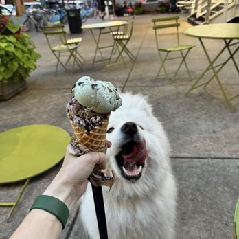 JENI’S SPLENDID ICE CREAMS - Updated January 2026 - 738 Photos & 682 ...