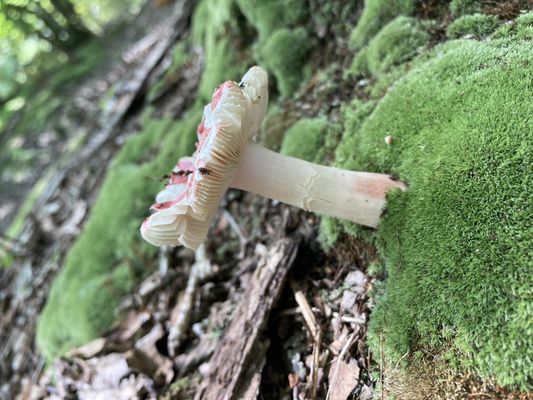 CLAY PIT PONDS STATE PARK PRESERVE - Updated August 2024 - 61 Photos ...