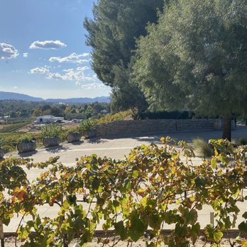 CALLAWAY VINEYARD & WINERY - Updated January 2025 - 1562 Photos & 910 ...