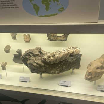 SAINT LOUIS SCIENCE CENTER - Updated March 2025 - 719 Photos & 259 ...