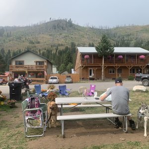 MONTASIA - 54 Photos & 46 Reviews UPDATED - Malaysian - 15 West Main ...