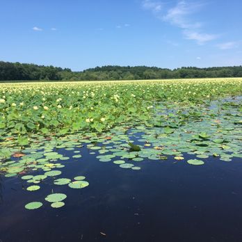 GREAT MEADOWS NATIONAL WILDLIFE REFUGE - Updated September 2025 - 41 ...