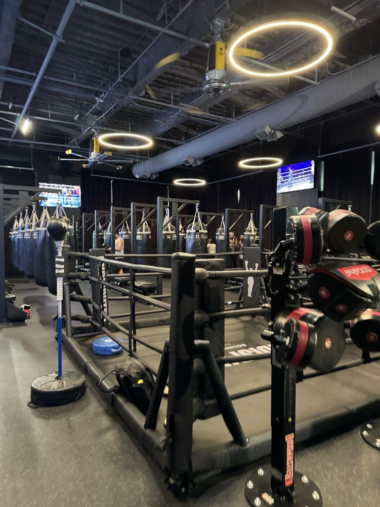 UNDISPUTED BOXING GYM - Updated May 2026 - 107 Photos & 140 Reviews ...