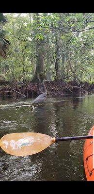 JUPITER OUTDOOR CENTER - 89 Photos & 43 Reviews - Rafting/Kayaking ...