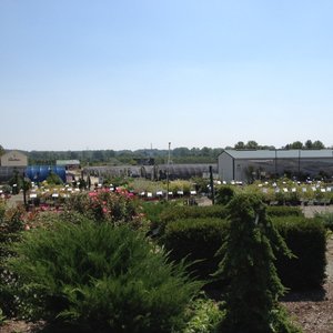 GROSS LUMBER - 10 Photos - 645 Central Ave, Carlisle, OH - Yelp