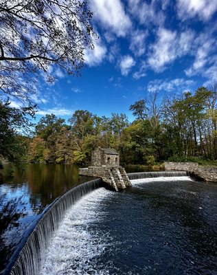 SPEEDWELL PARK - Updated October 2025 - 52 Photos - 288 Speedwell Ave ...