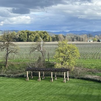 MELROSE VINEYARDS - Updated June 2025 - 67 Photos & 38 Reviews - 885 ...
