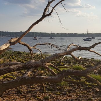 GARVIES POINT MUSEUM & PRESERVE - Updated December 2025 - 87 Photos ...