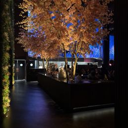 THREE THIRTY THREE - Updated December 2025 - 935 Photos & 195 Reviews ...