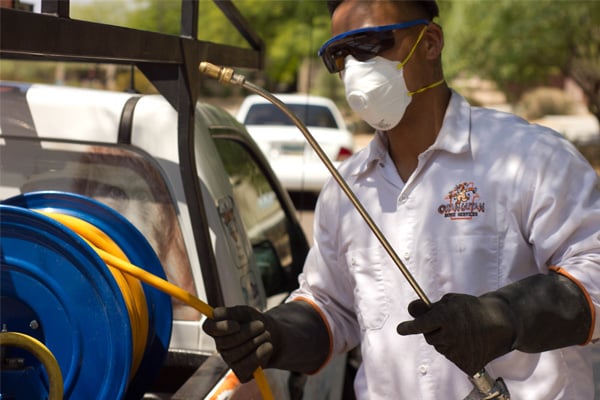 ORANGUTAN PEST CONTROL - Updated January 2025 - 10 Photos - 2922 S ...