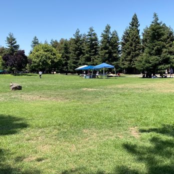 HALCYON PARK - Updated December 2025 - 64 Photos & 24 Reviews - 1245 ...