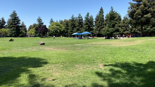 HALCYON PARK - 39 Photos & 21 Reviews - Parks - 1245 147th Ave, San ...