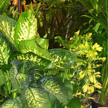 WALMART - Updated December 2025 - 85 Photos & 40 Reviews - 1900 ...