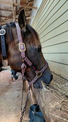 R-RANCH IN THE MOUNTAINS - 31 Photos & 11 Reviews - 65 R Ranch Rd ...