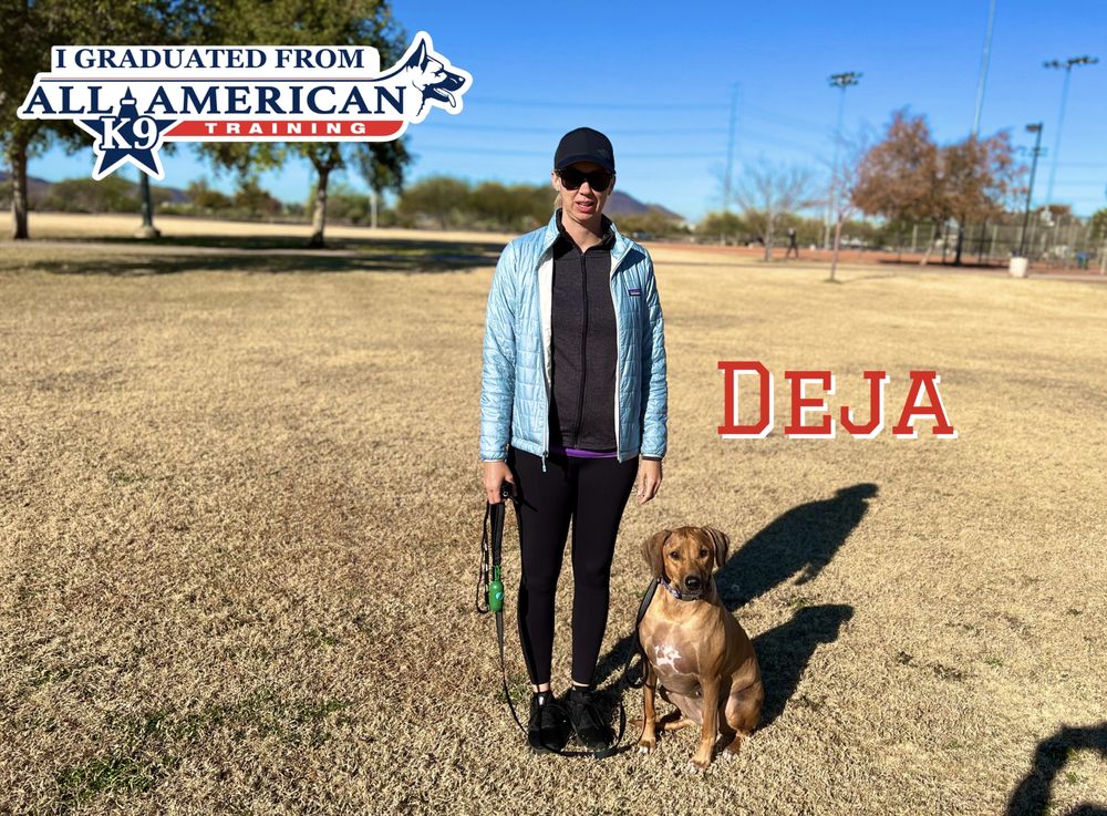 ALL-AMERICAN K-9 DOG TRAINING - 373 Photos & 262 Reviews - Phoenix, AZ ...