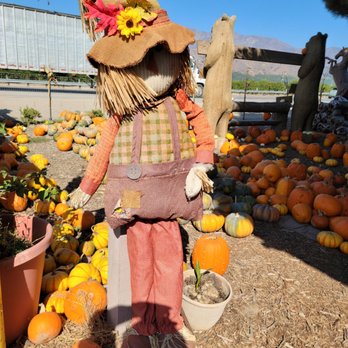 PRANCERS FARM - Updated August 2025 - 148 Photos & 46 Reviews - 18540 E ...