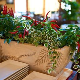 SPIGA RISTORANTE - Updated July 2025 - 80 Photos & 222 Reviews - 18 ...