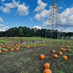 HANOVER VEGETABLE FARM - 40 Photos & 18 Reviews - 13580 Ashland Rd ...