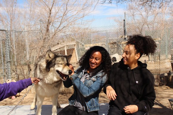 WOLF MOUNTAIN SANCTUARY - 422 Photos & 164 Reviews - 7520 Fairlane Rd ...