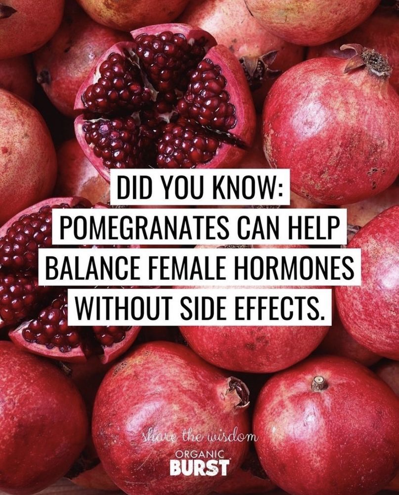 PATH 2 PEACE - Updated August 2025 - Fruit Heights, Utah ...