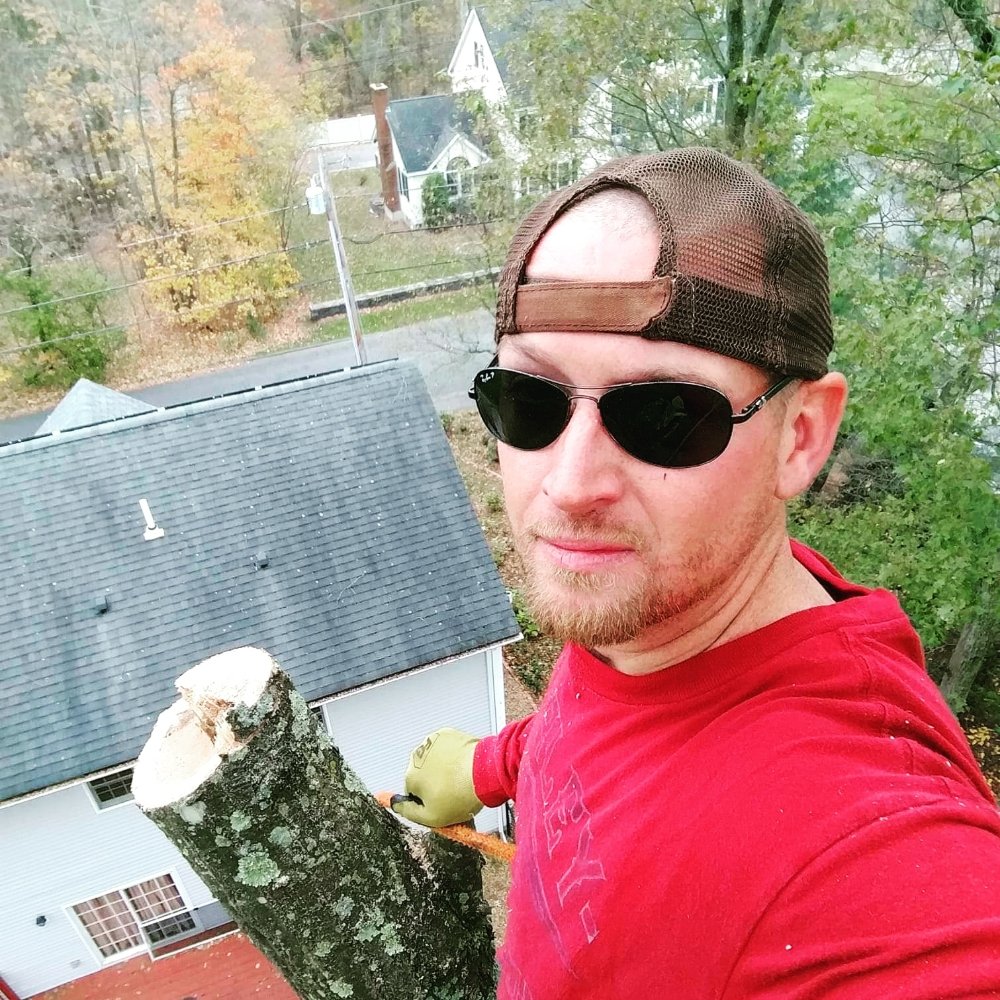 SCANLON TREE - Updated October 2025 - 15 Photos - Millbury ...