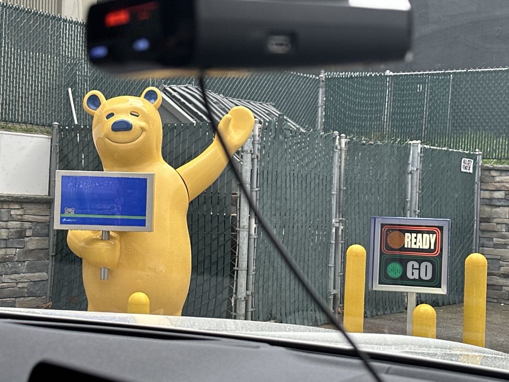 BROWN BEAR CAR WASH - Updated January 2025 - 44 Photos & 76 Reviews ...