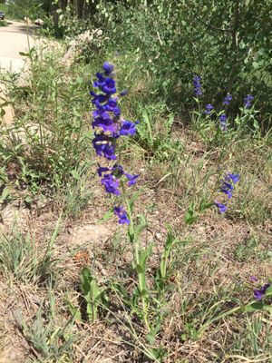 LOST LAKE CAMPGROUND - Updated November 2025 - 14 Photos - Paonia ...