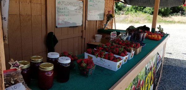 NAI’S BERRY FARM - Updated November 2025 - 27 Photos & 14 Reviews ...