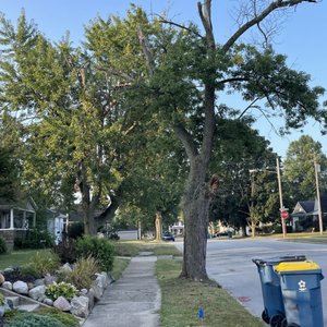 KACHUR TREE SERVICE - Updated December 2025 - 45 Photos - 316 Fulkerson ...