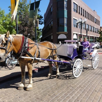 COLORADO CARRIAGE AND WAGON - Updated August 2025 - 15 Reviews - Fort ...