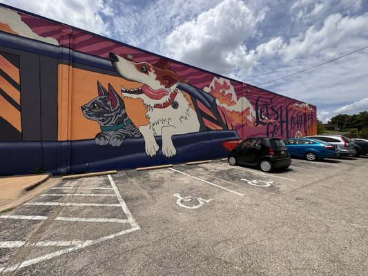 AUSTIN HUMANE SOCIETY - Updated December 2025 - 131 Photos & 120 ...