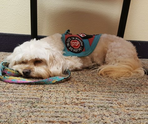 MONTEREY BAY GI CONSULTANTS MEDICAL GROUP - Updated January 2026 - 24 ...