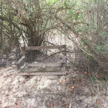 FAULKEY GULLY HIKE AND BIKE TRAIL - Updated September 2025 - 32 Photos ...