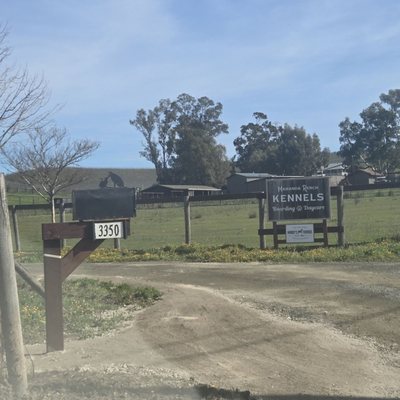 MARANDA RANCH KENNELS - Updated December 2025 - 34 Photos & 33 Reviews ...