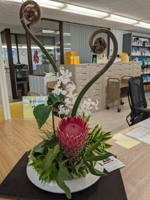 HAWAII STATE PUBLIC LIBRARY SYSTEM - AINA HAINA PUBLIC LIBRARY - Updated February 2026 - 88 ...