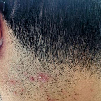 KINGDOM BARBERSHOP - Updated December 2025 - 75 Photos & 42 Reviews ...