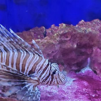 FLOATING SEA AQUATICS - Updated October 2024 - 235 Photos & 45 Reviews ...