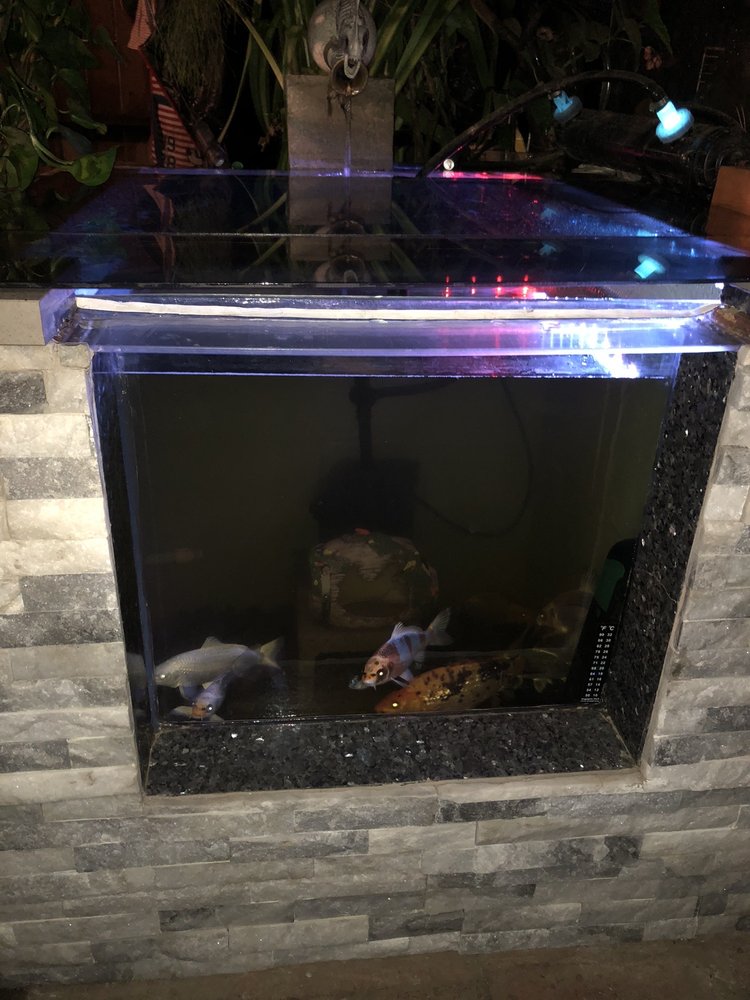 Professional Glass Service Updated March 2025 505 S Harbor Blvd Santa Ana California