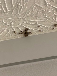 JEFF JUSTICE & COMPANY REALTORS - Updated December 2024 - 6726 Broad St ...