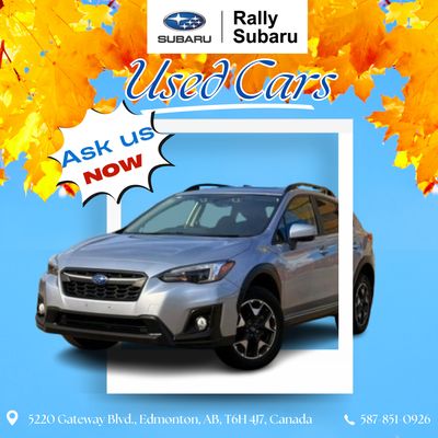 RALLY SUBARU - Updated January 2026 - 27 Photos & 23 Reviews - 5220 ...