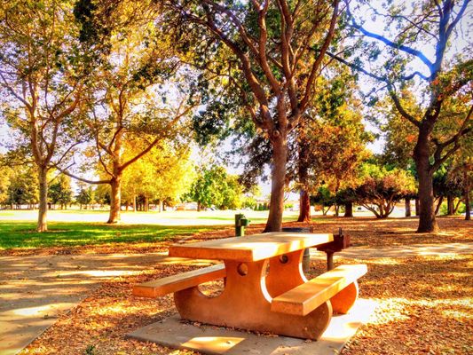 BROOKTREE PARK - Updated December 2025 - 143 Photos - Fallingtree ...