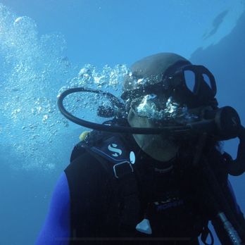 ISLAMORADA DIVE CENTER - Updated January 2026 - 99 Photos & 106 Reviews ...