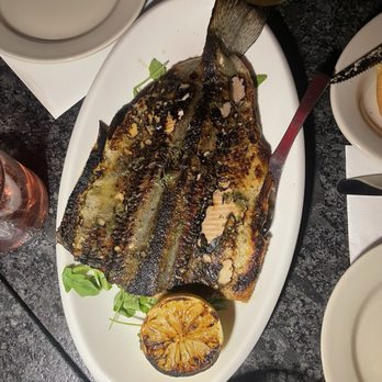 PUMA DETROIT - Updated December 2025 - 130 Photos & 44 Reviews - 4725 ...