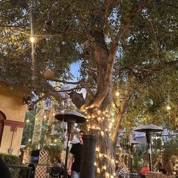 CIBO - Updated July 2025 - 2163 Photos & 2995 Reviews - 603 N 5th Ave ...