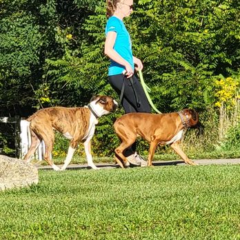 BILL YECK PARK - Updated March 2025 - 117 Photos & 11 Reviews - 2230 E ...